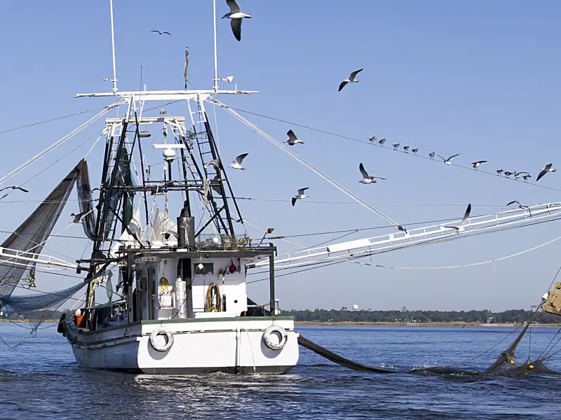 Online tool maps Louisiana’s water flow interactions to preserve state ...