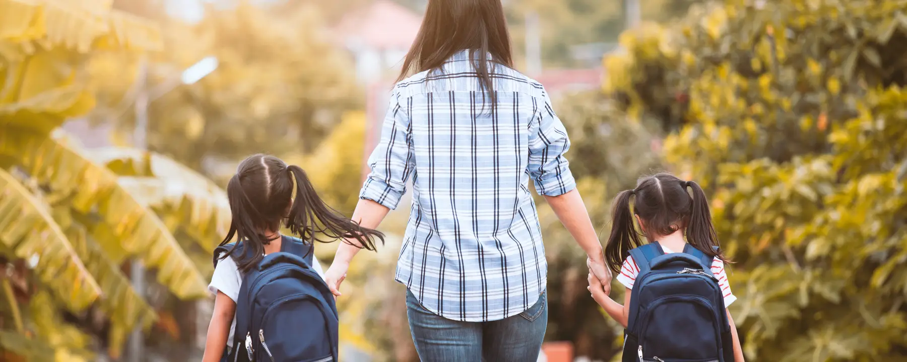 Violence Prevention and Harm Reduction | RTI